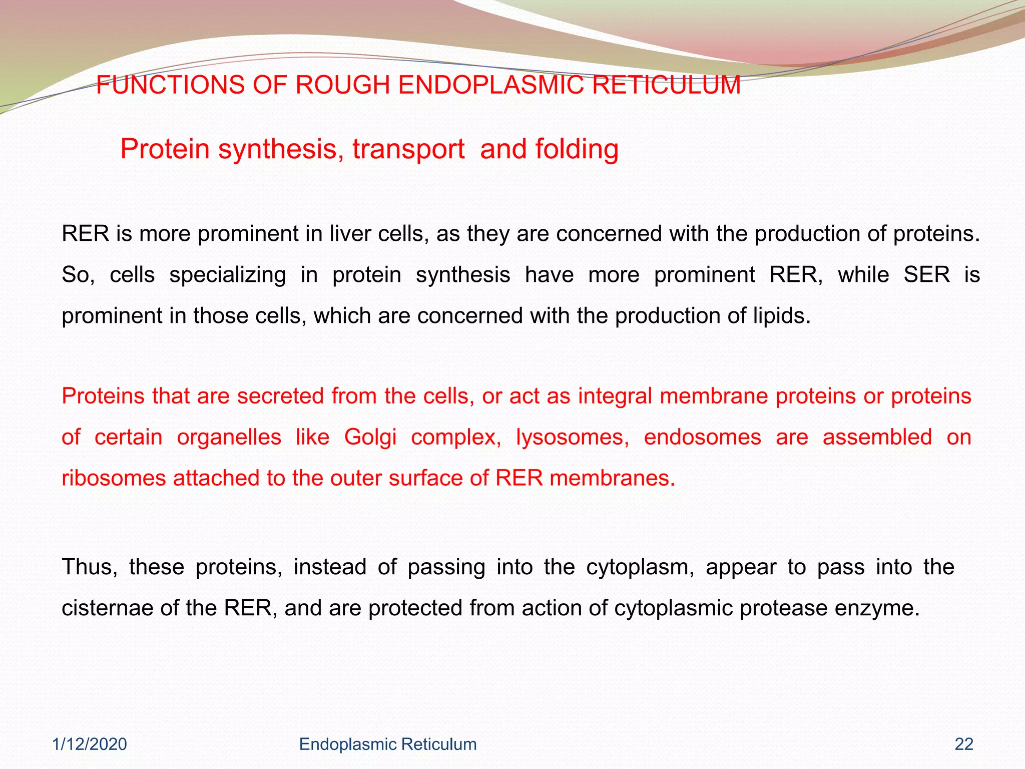 Structure and functions of endoplasmic reticulum | PPTX