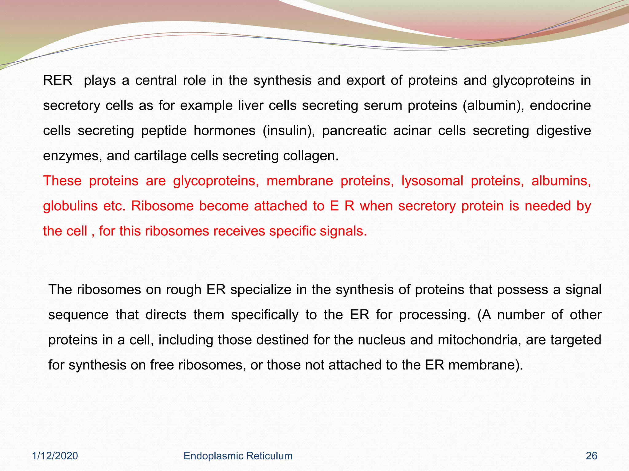 Structure and functions of endoplasmic reticulum | PPTX