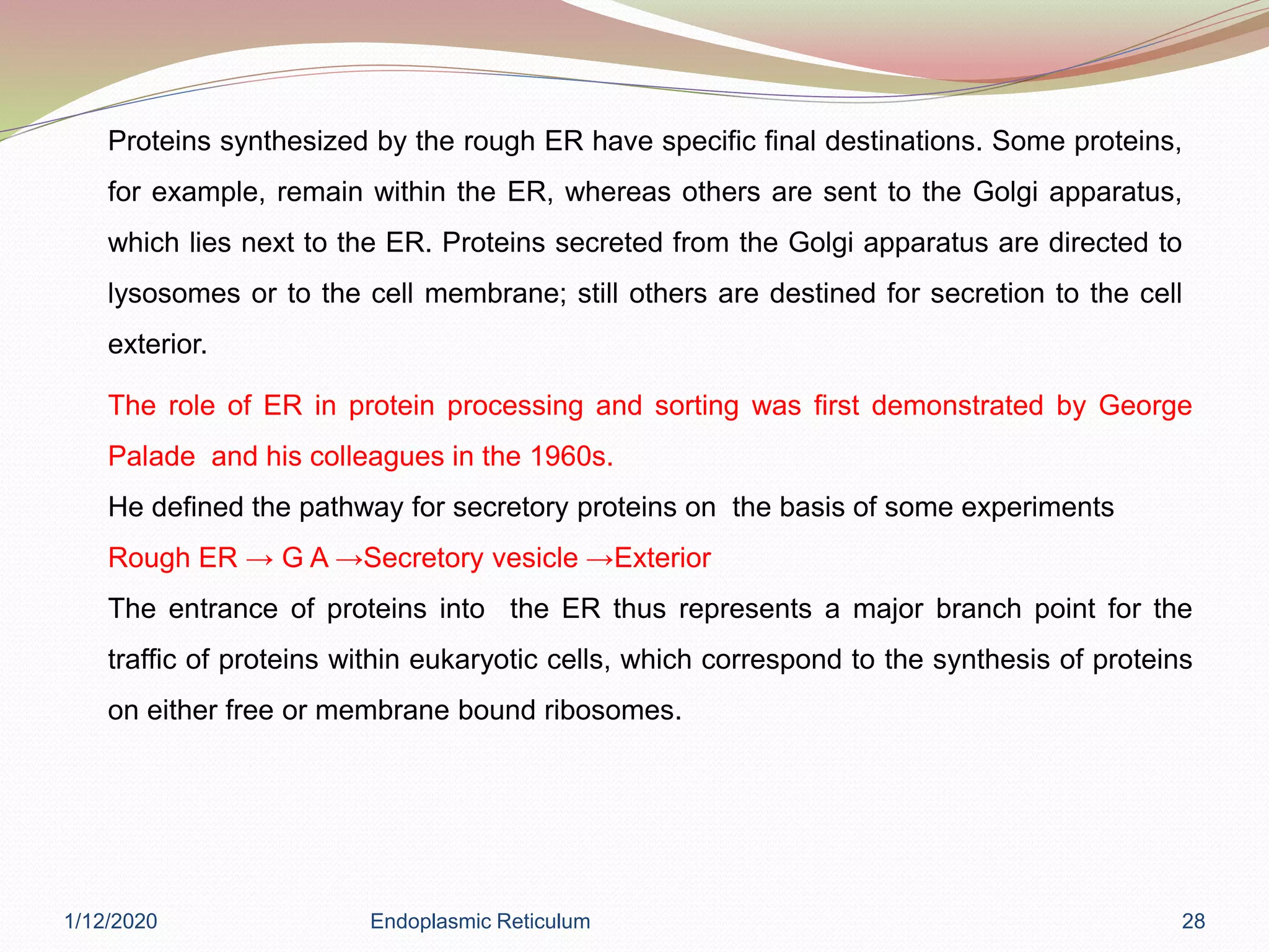 Structure and functions of endoplasmic reticulum | PPTX