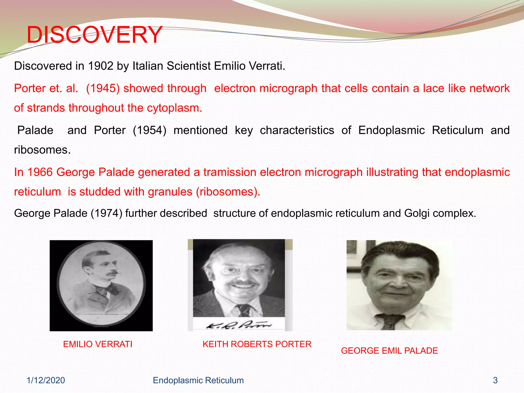 Structure and functions of endoplasmic reticulum | PPTX