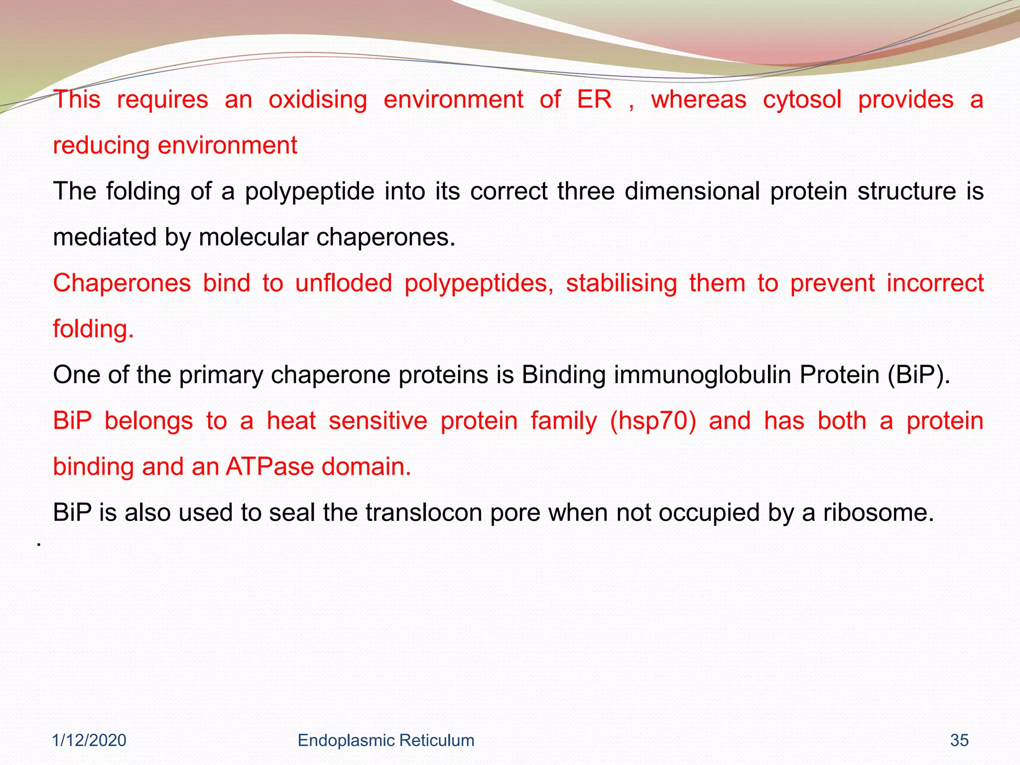 Structure and functions of endoplasmic reticulum | PPTX