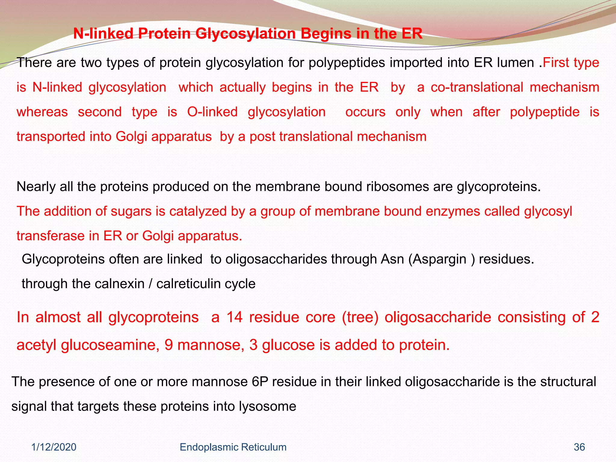 Structure and functions of endoplasmic reticulum | PPTX