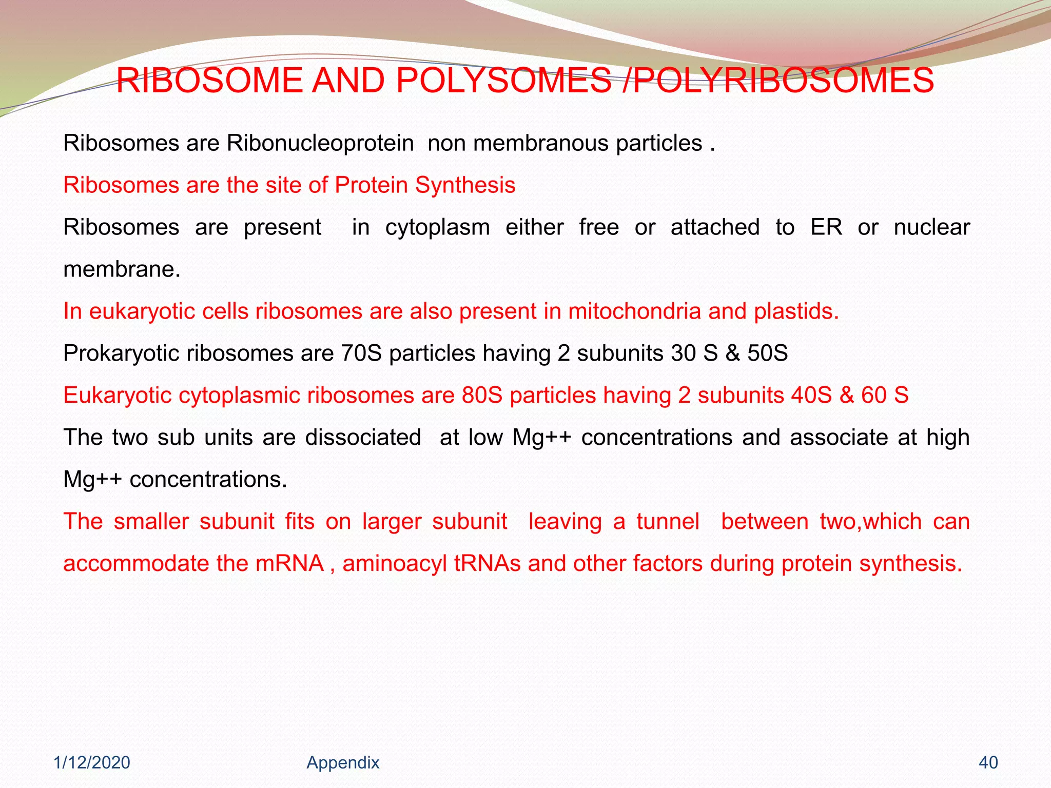Structure and functions of endoplasmic reticulum | PPTX