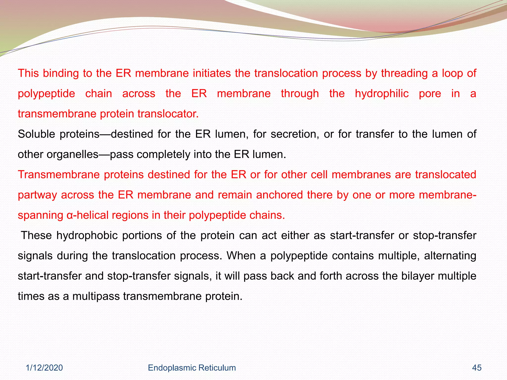 Structure and functions of endoplasmic reticulum | PPTX