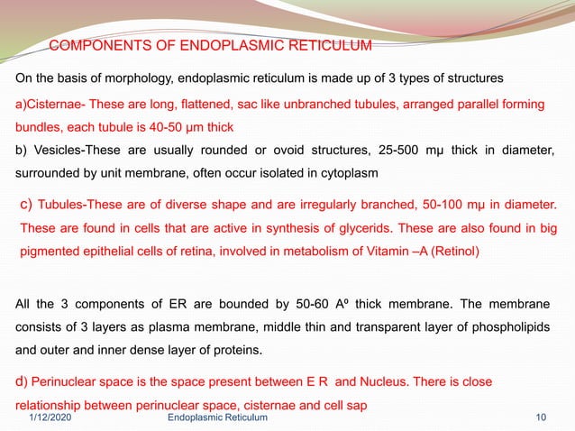 Structure and functions of endoplasmic reticulum | PPT