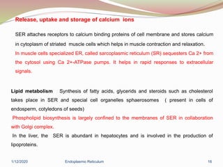 Structure and functions of endoplasmic reticulum | PPTX