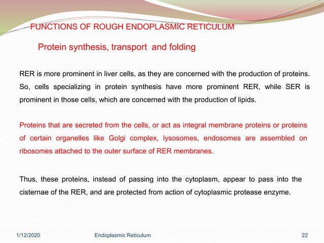 Structure and functions of endoplasmic reticulum | PPTX | Biological ...