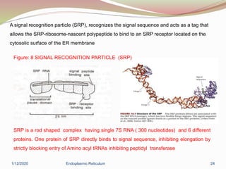 Structure and functions of endoplasmic reticulum | PPTX
