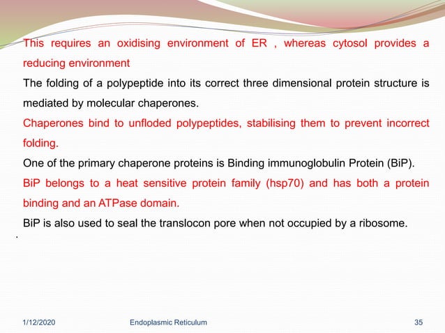 Structure and functions of endoplasmic reticulum | PPTX | Biological ...