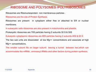 Structure and functions of endoplasmic reticulum | PPTX