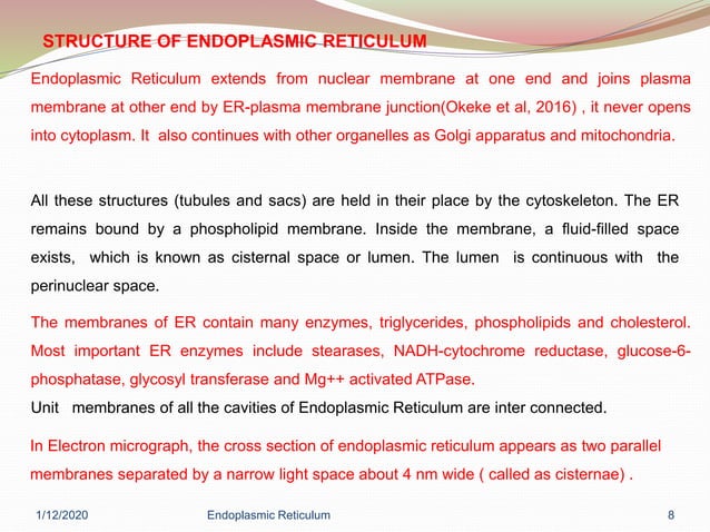 Structure and functions of endoplasmic reticulum | PPTX | Biological Sciences | Science