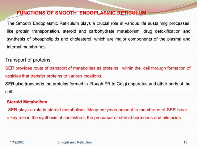 Endoplasmic Reticulum Structure And Function Alevel