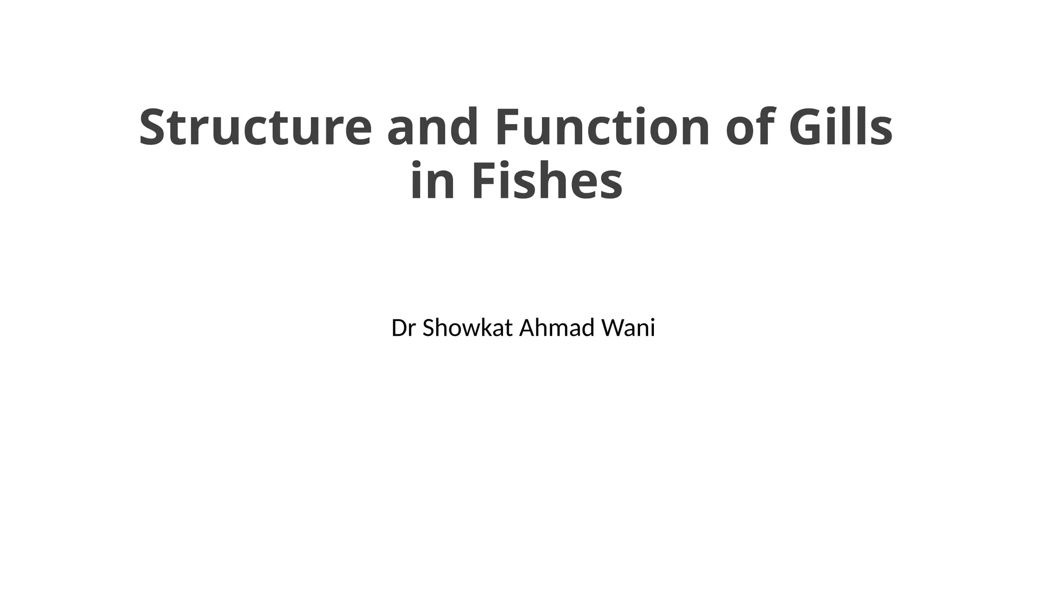Structure and functions of gills in fishes.pptx