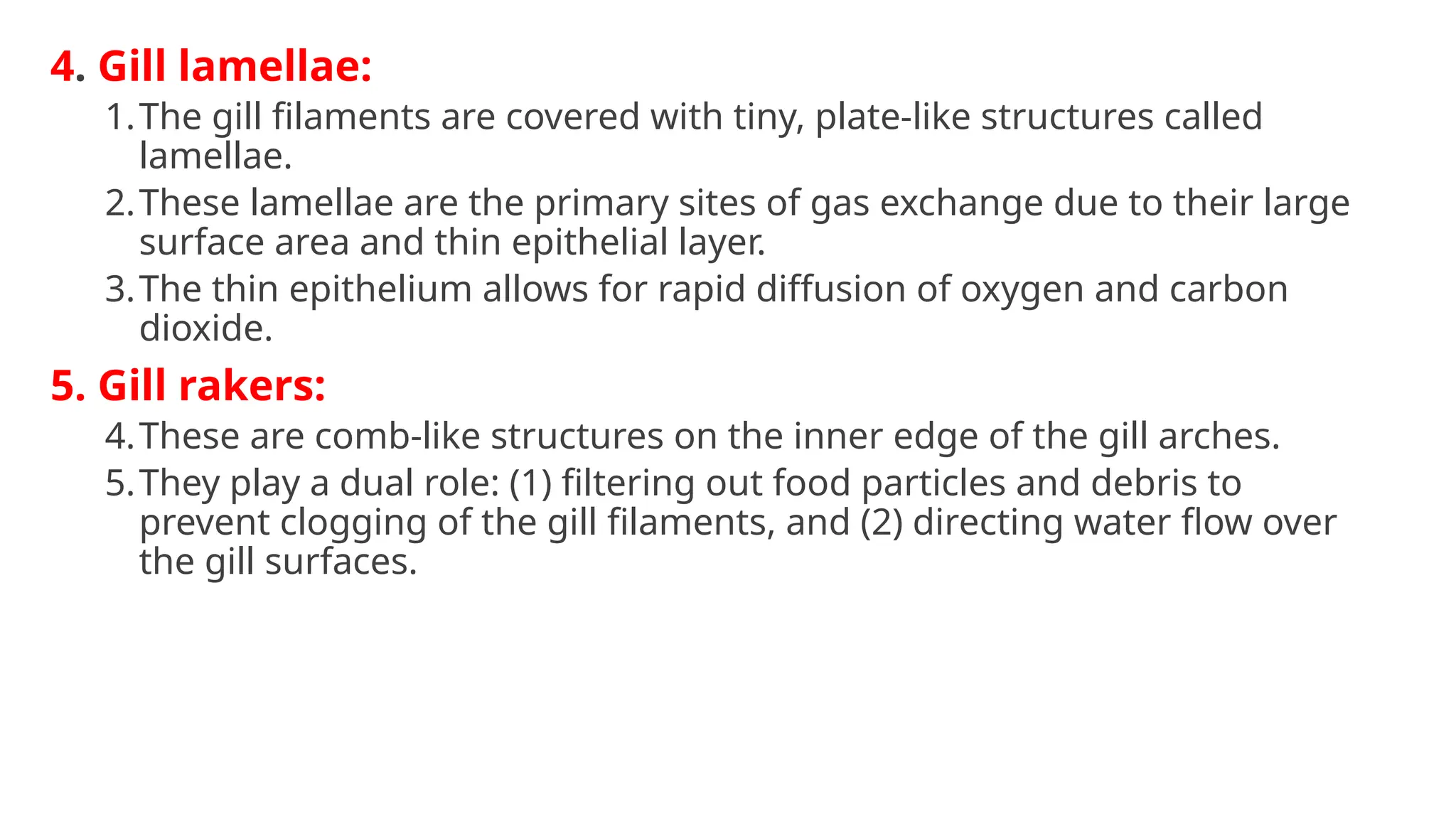 Structure and functions of gills in fishes.pptx