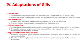 Structure and functions of gills in fishes.pptx