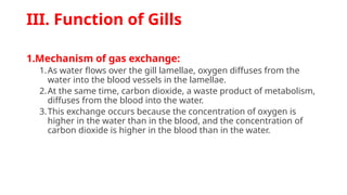 Structure and functions of gills in fishes.pptx