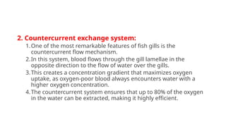 Structure and functions of gills in fishes.pptx