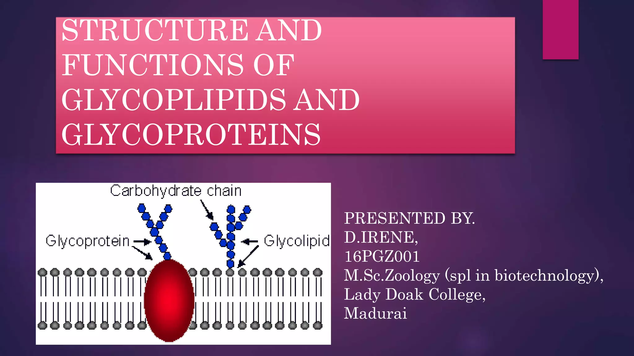 Structure and functions of glycoplipids and glycoproteins | PPTX