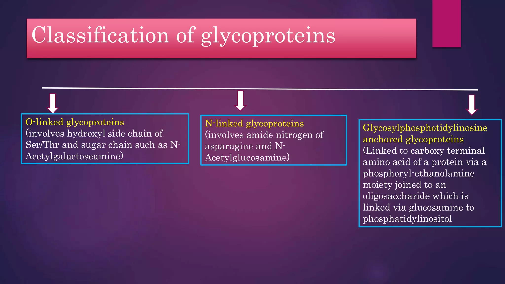 Structure and functions of glycoplipids and glycoproteins | PPTX