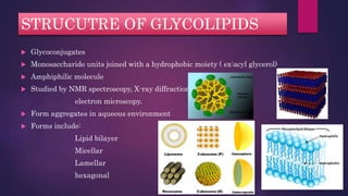 Structure and functions of glycoplipids and glycoproteins | PPTX