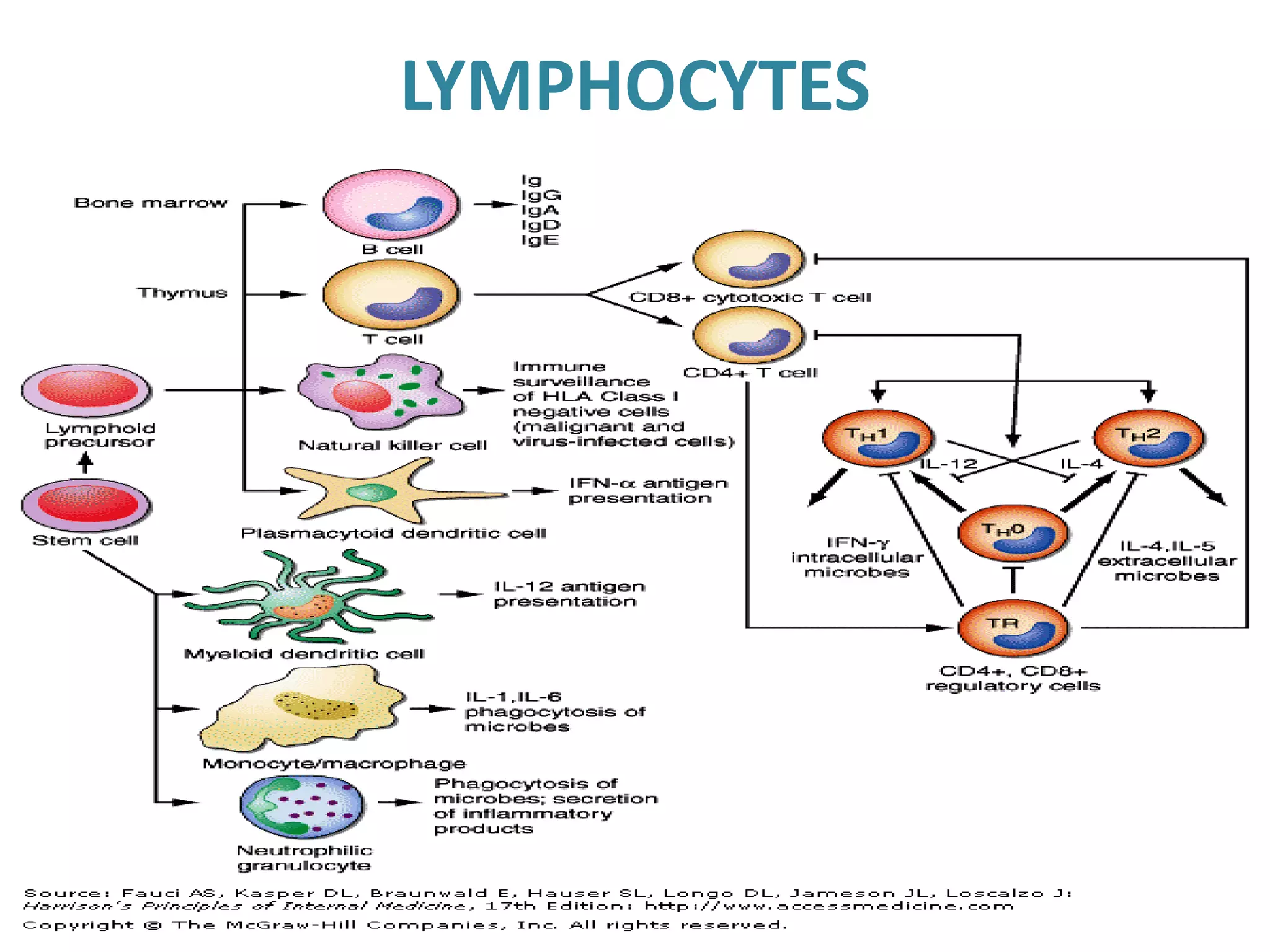 Structure and functions of immune system | PPTX