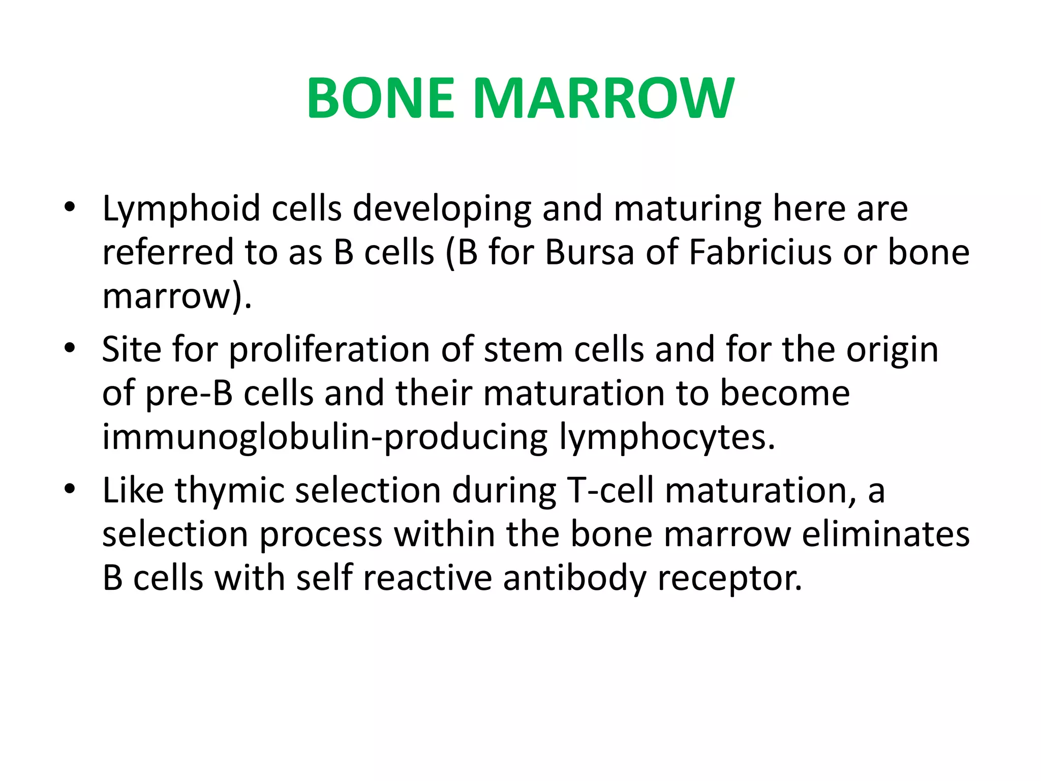 Structure and functions of immune system | PPTX