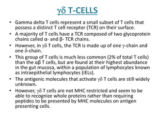 Structure and functions of immune system | PPTX