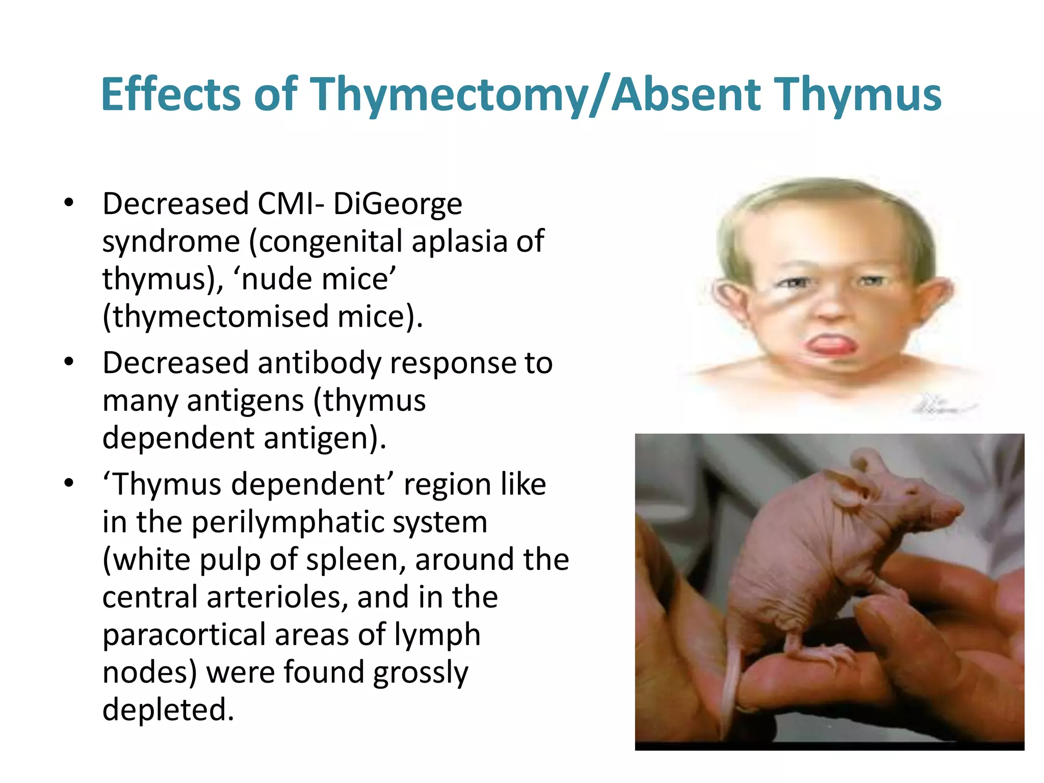 structureandfunctionsofimmunesystem- lecture 2.pptx