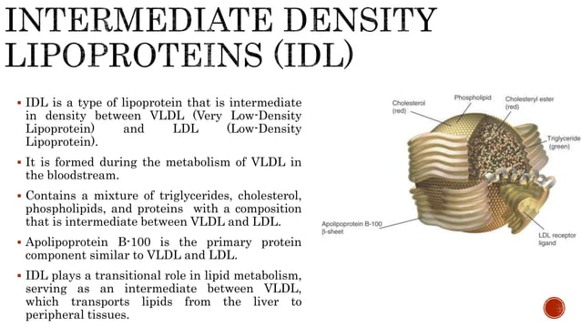 Structure and Functions of Lipoprotein..pptx