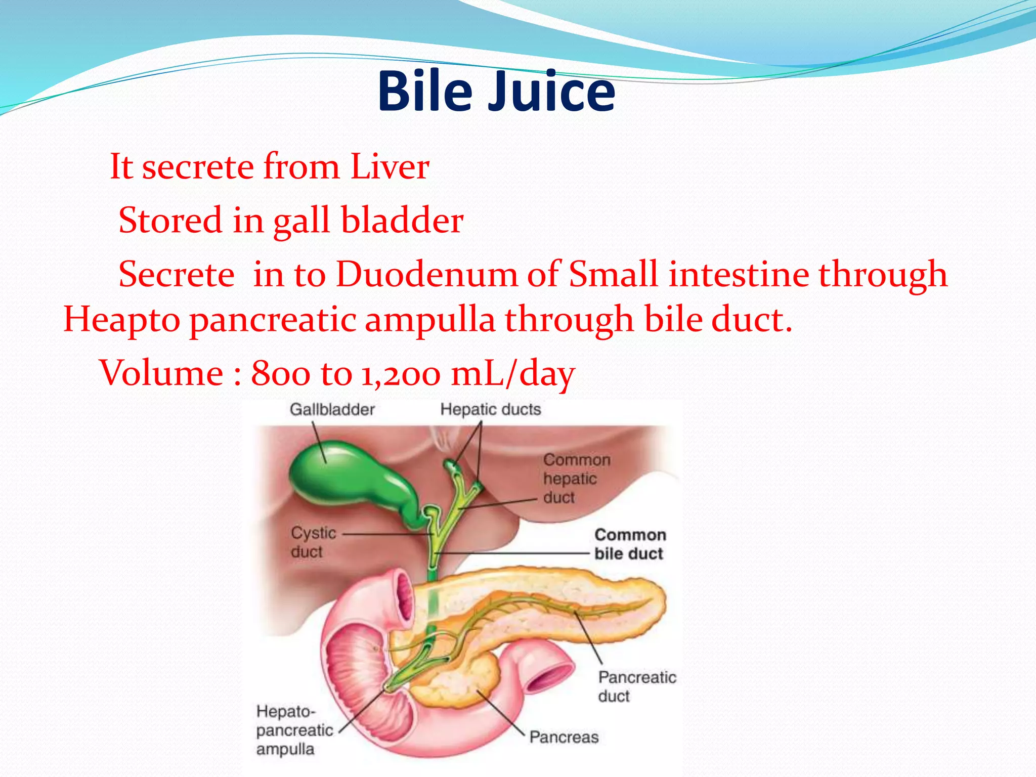 Structure and functions of liver | PPTX