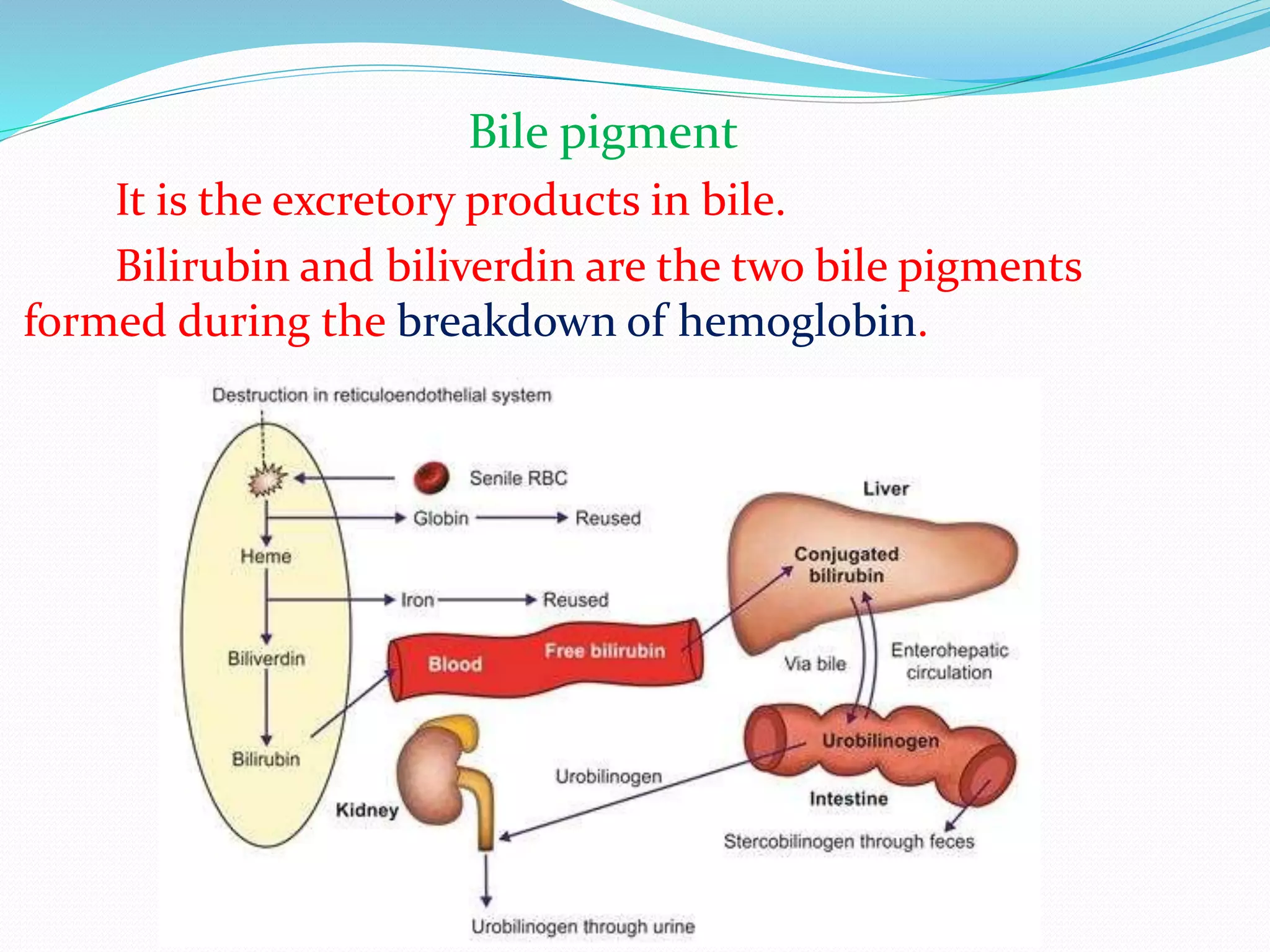 Structure and functions of liver | PPTX