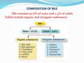 Structure and functions of liver | PPTX