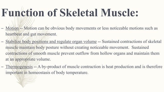 Structure and Functions of Muscle | PPTX