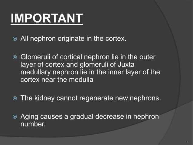 Structure and functions of nephron assignment | PPTX