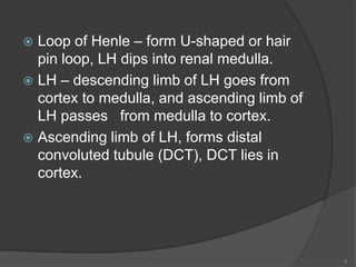 Structure and functions of nephron assignment | PPTX