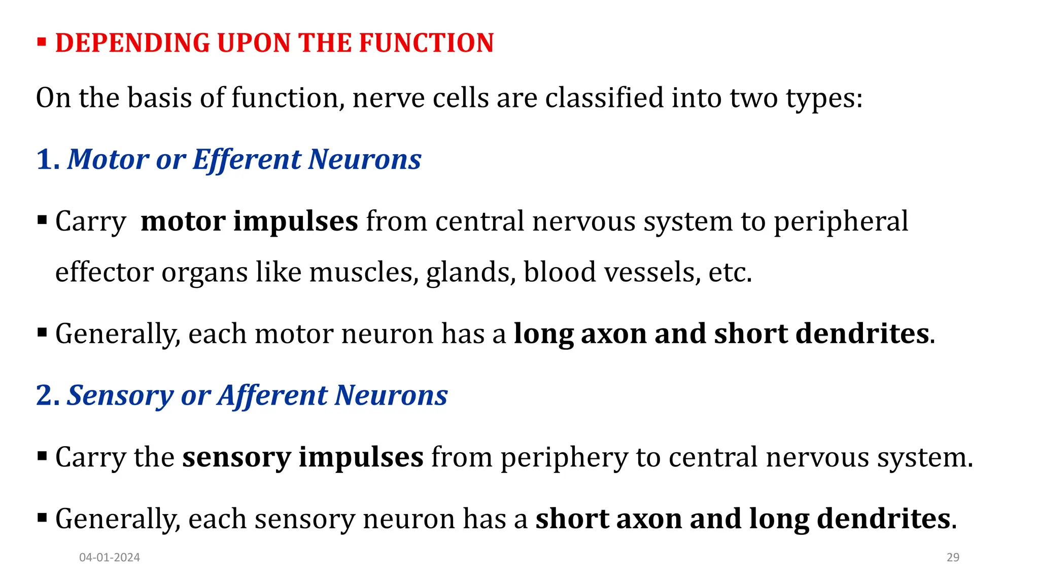 NEURON,NERVE GROWTH FACTORS, CYTOKININES | PPTX