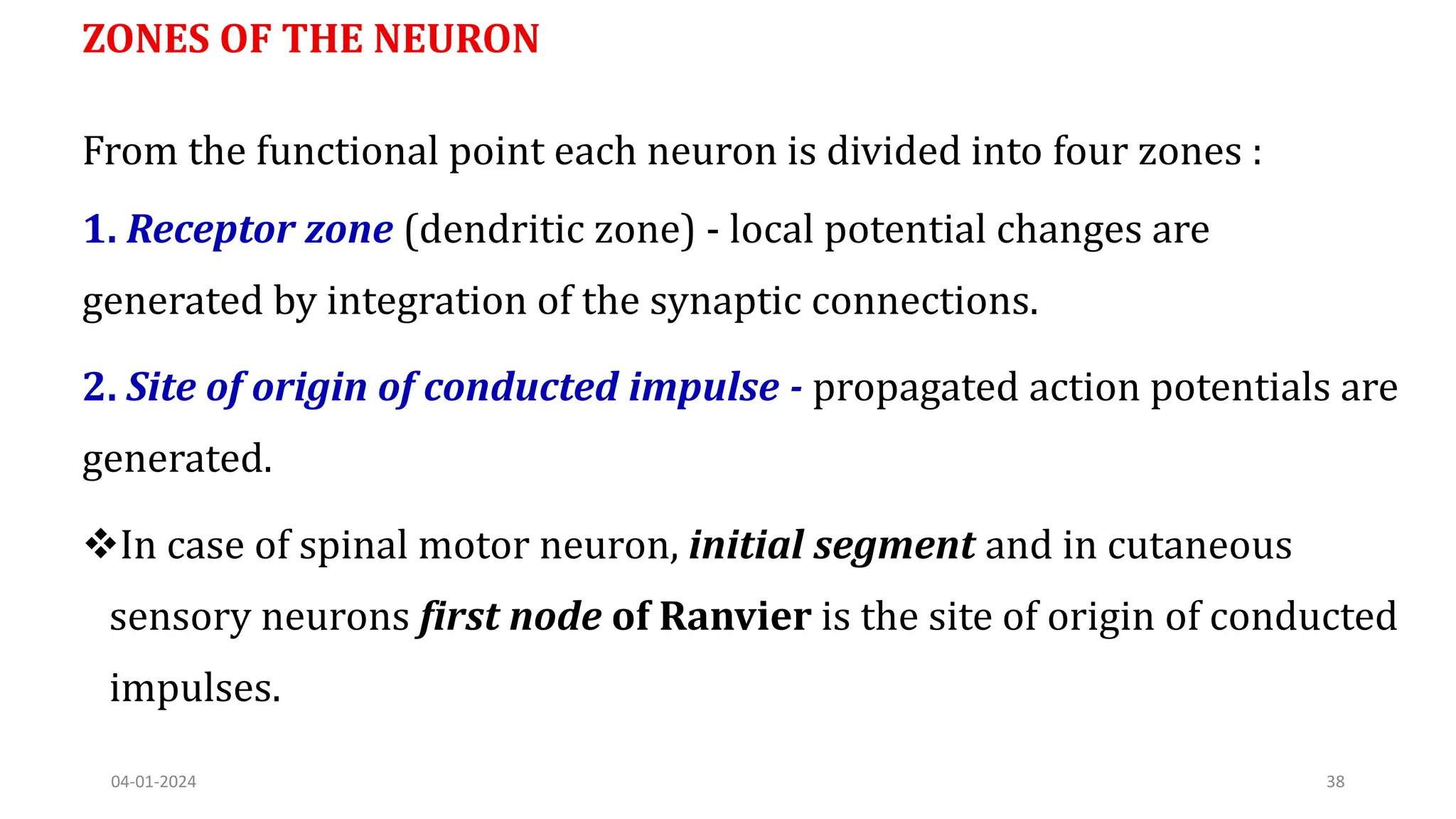 NEURON,NERVE GROWTH FACTORS, CYTOKININES | PPTX