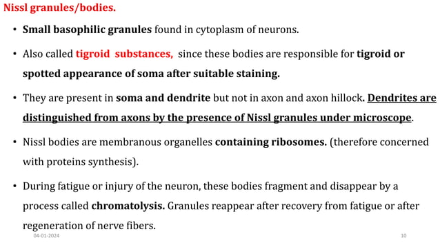 NEURON,NERVE GROWTH FACTORS, CYTOKININES | PPTX