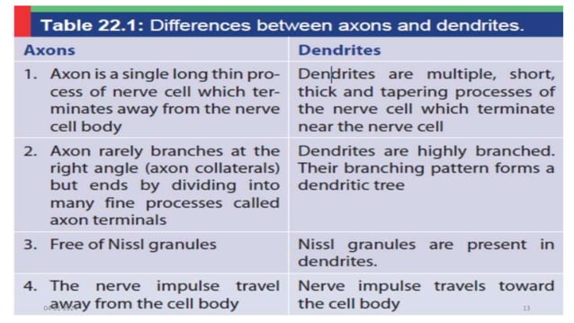NEURON,NERVE GROWTH FACTORS, CYTOKININES | PPTX