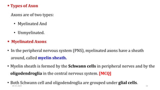 NEURON,NERVE GROWTH FACTORS, CYTOKININES | PPTX