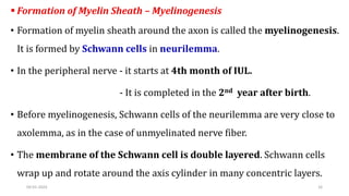 NEURON,NERVE GROWTH FACTORS, CYTOKININES | PPTX