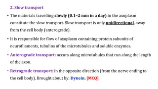 NEURON,NERVE GROWTH FACTORS, CYTOKININES | PPTX