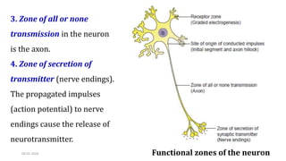 NEURON,NERVE GROWTH FACTORS, CYTOKININES | PPTX