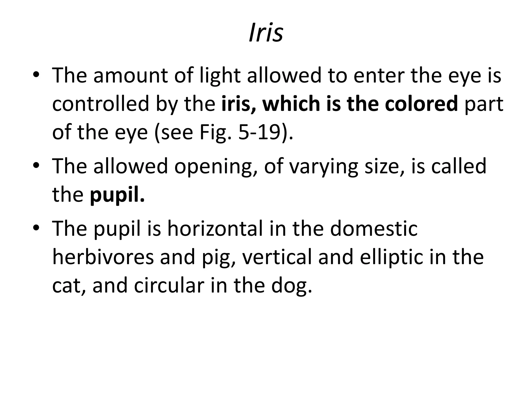 Structure and Functions of the Eye.pptx