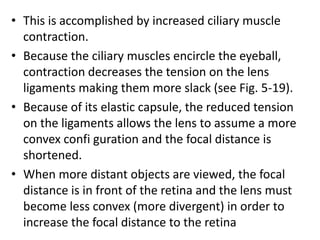 Structure and Functions of the Eye.pptx