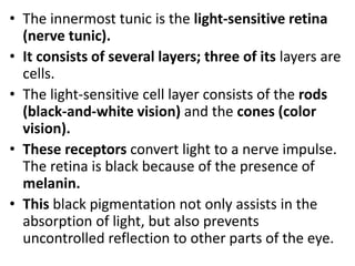 Structure and Functions of the Eye.pptx