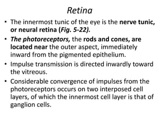 Structure and Functions of the Eye 2.pptx