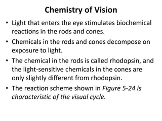 Structure and Functions of the Eye 2.pptx