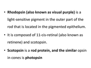Structure and Functions of the Eye 2.pptx