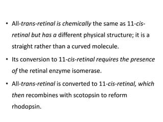 Structure and Functions of the Eye 2.pptx